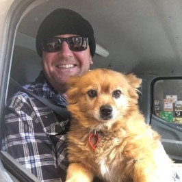 Out Of The Shadows - Jaya Spiers